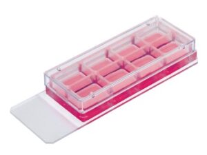 Chambered coverslip, Removable chamber Slide – PTC International Limited