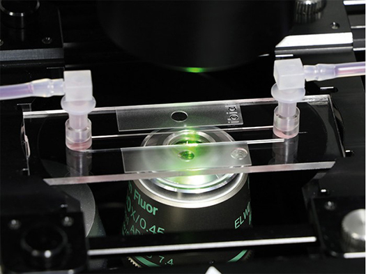 ibidi µ-Slides, reagents, and instruments – PTC International Limited